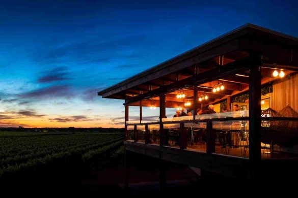 South Australian Wine Regions (Complete Guide)