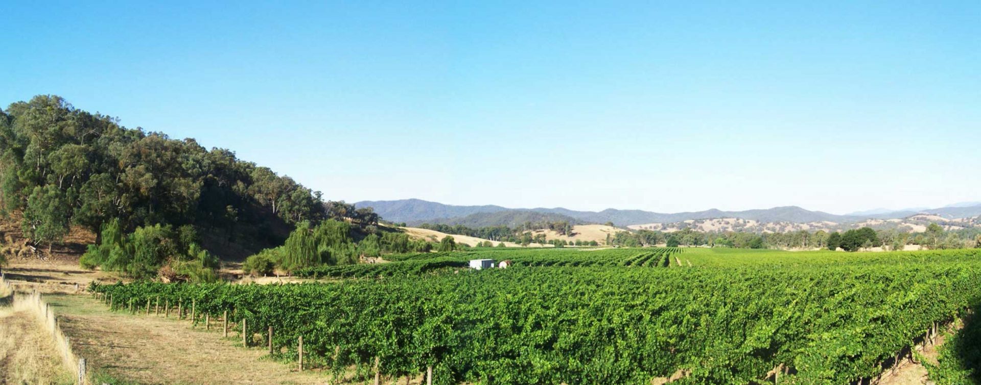 King Valley Wineries: Top 7 Vineyards To Visit