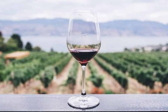 Hands Down The Finest Orange Wineries & Cellar Doors
