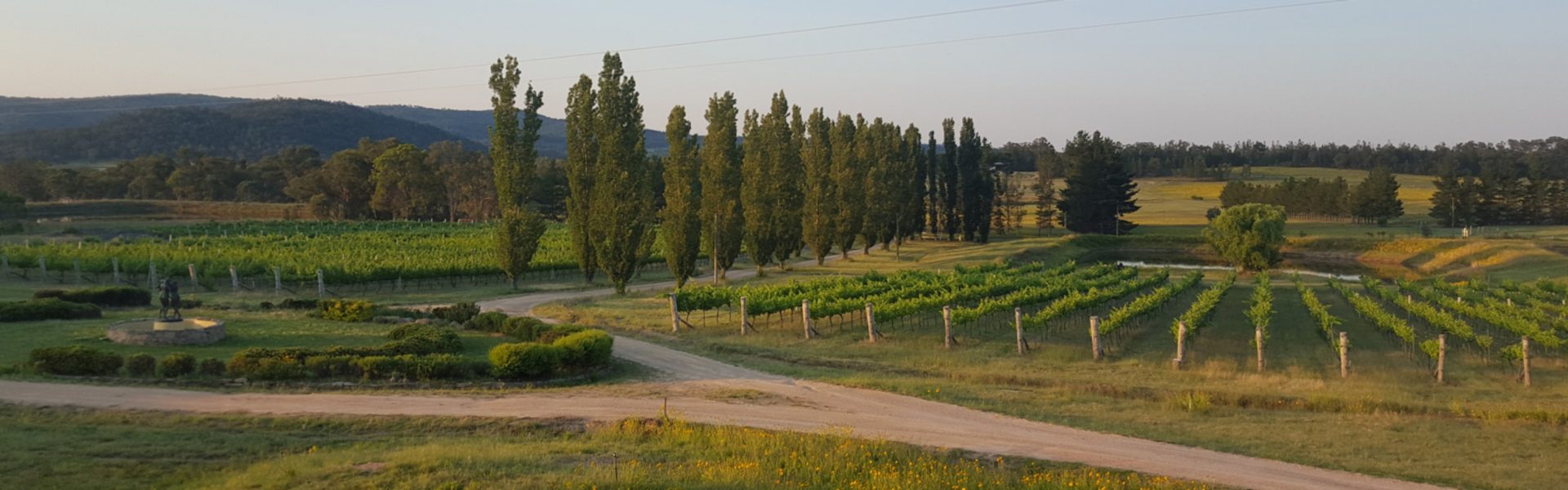 Wineries In Queensland: The Ultimate Guide | Wine Regions Australia