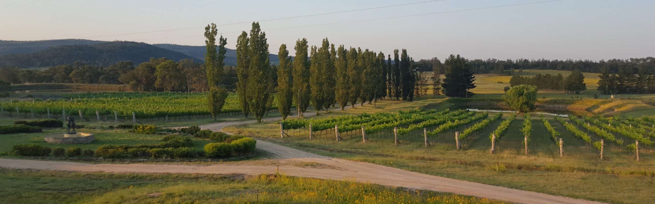 Wineries In Queensland: The Ultimate Guide | Wine Regions Australia