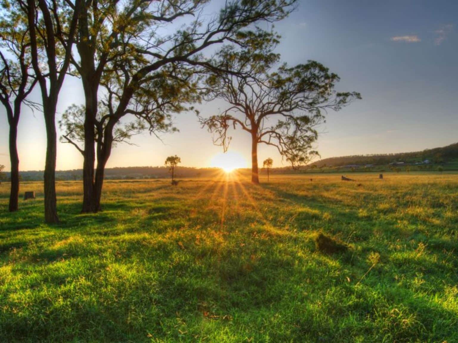 Wineries In Queensland: The Ultimate Guide | Wine Regions Australia