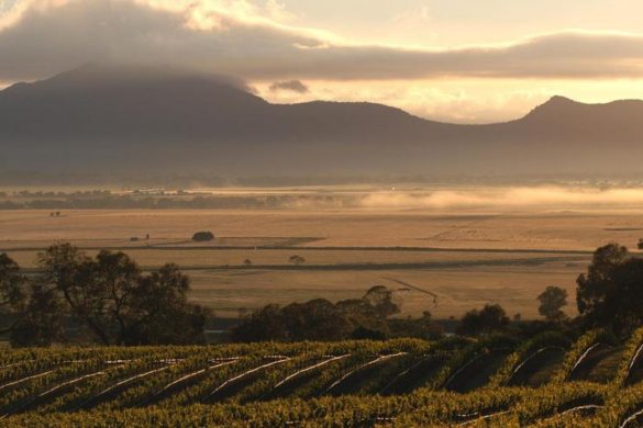 Mornington Peninsula Wineries: 8 Top Vineyards To Visit | Wine Regions ...