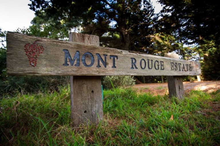 Mornington Peninsula Wineries: 8 Top Vineyards to Visit