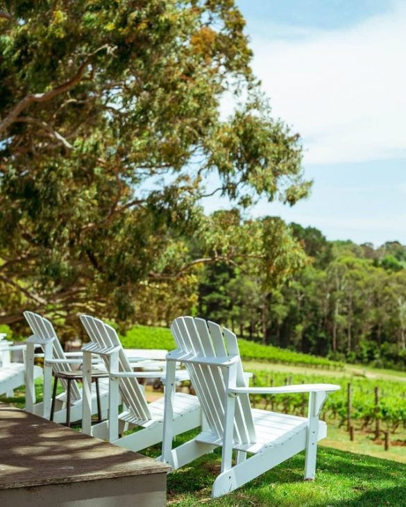 Mornington Peninsula Wineries: 8 Top Vineyards To Visit | Wine Regions ...
