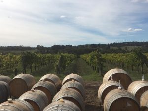 Wine Regions in Victoria: The Ultimate Wine Guide