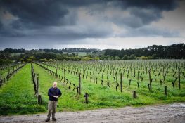 Mornington Peninsula Wineries: 8 Top Vineyards To Visit | Wine Regions ...