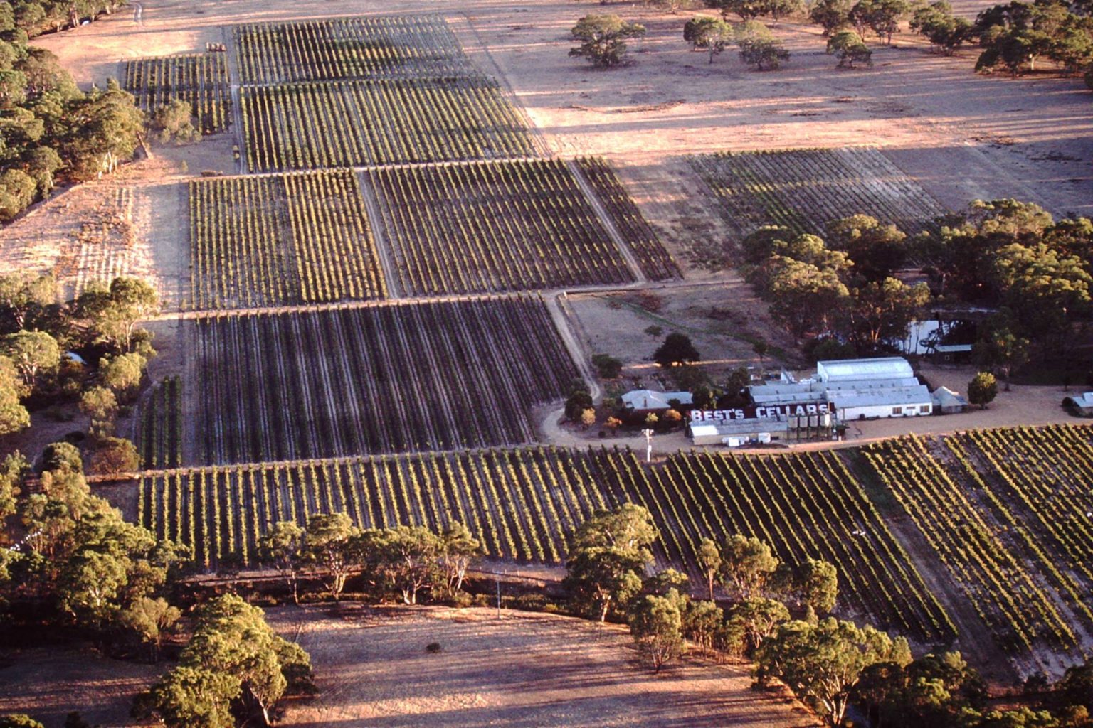 Grampians Wineries: Top 6 Wineries & Cellar Door Experiences