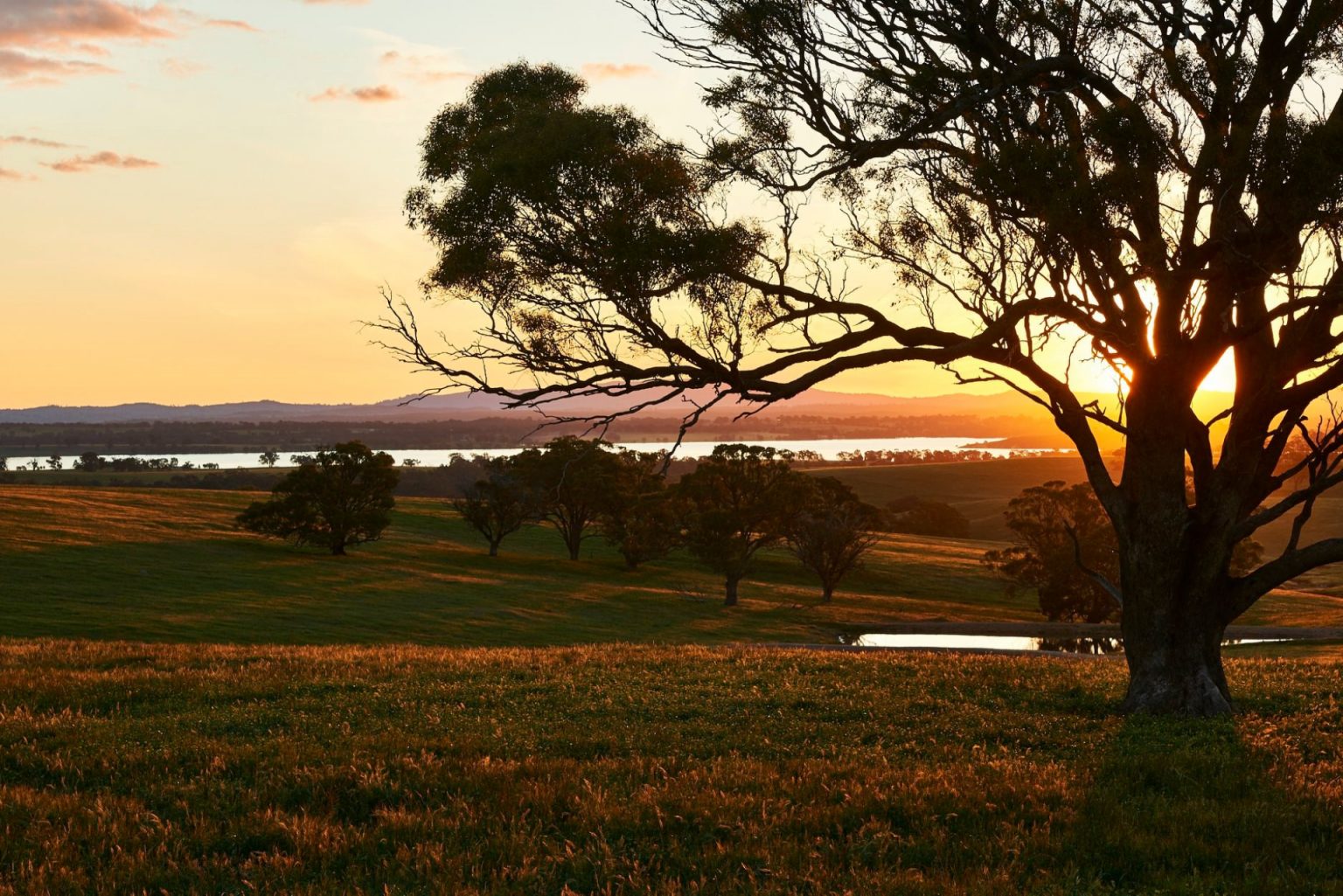 6 Heathcote Wineries That Will Float Your Boat | Wine Regions Australia