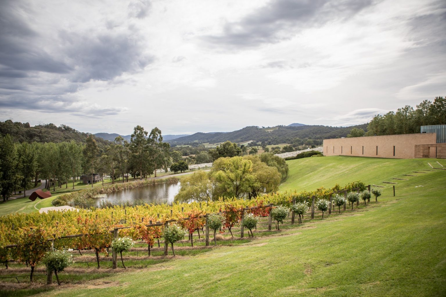 7 Of The Most Beautiful Yarra Valley Wineries & Cellar Doors