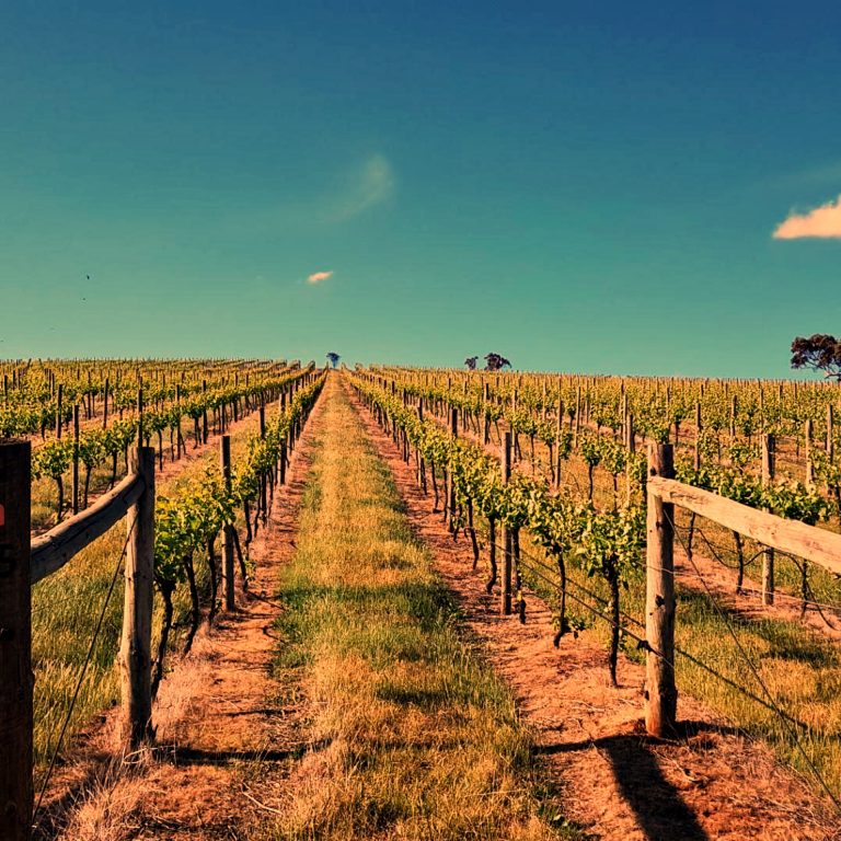 6 Heathcote Wineries That Will Float Your Boat | Wine Regions Australia