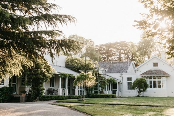 Mornington Peninsula Wineries: 8 Top Vineyards To Visit | Wine Regions ...