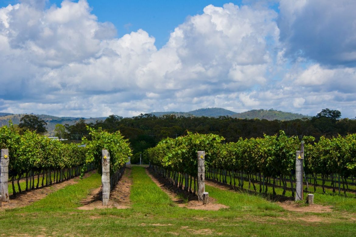 6 Ripper Granite Belt Wineries | Wine Regions Australia
