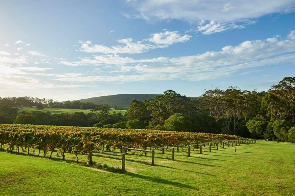 6 Denmark Wineries That’ll Get You Feeling Fruity | Wine Regions Australia