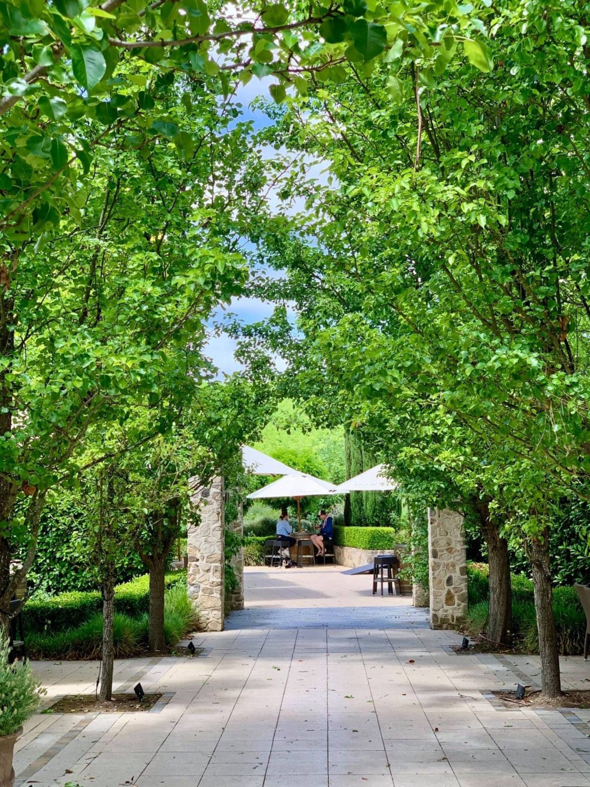 Adelaide Hills Wineries: Explore The Finest Cellar Doors