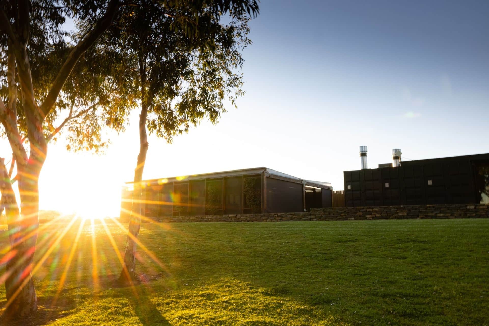 McLaren Vale Wineries: 6 Highly Rated Vineyards | Wine Regions Australia