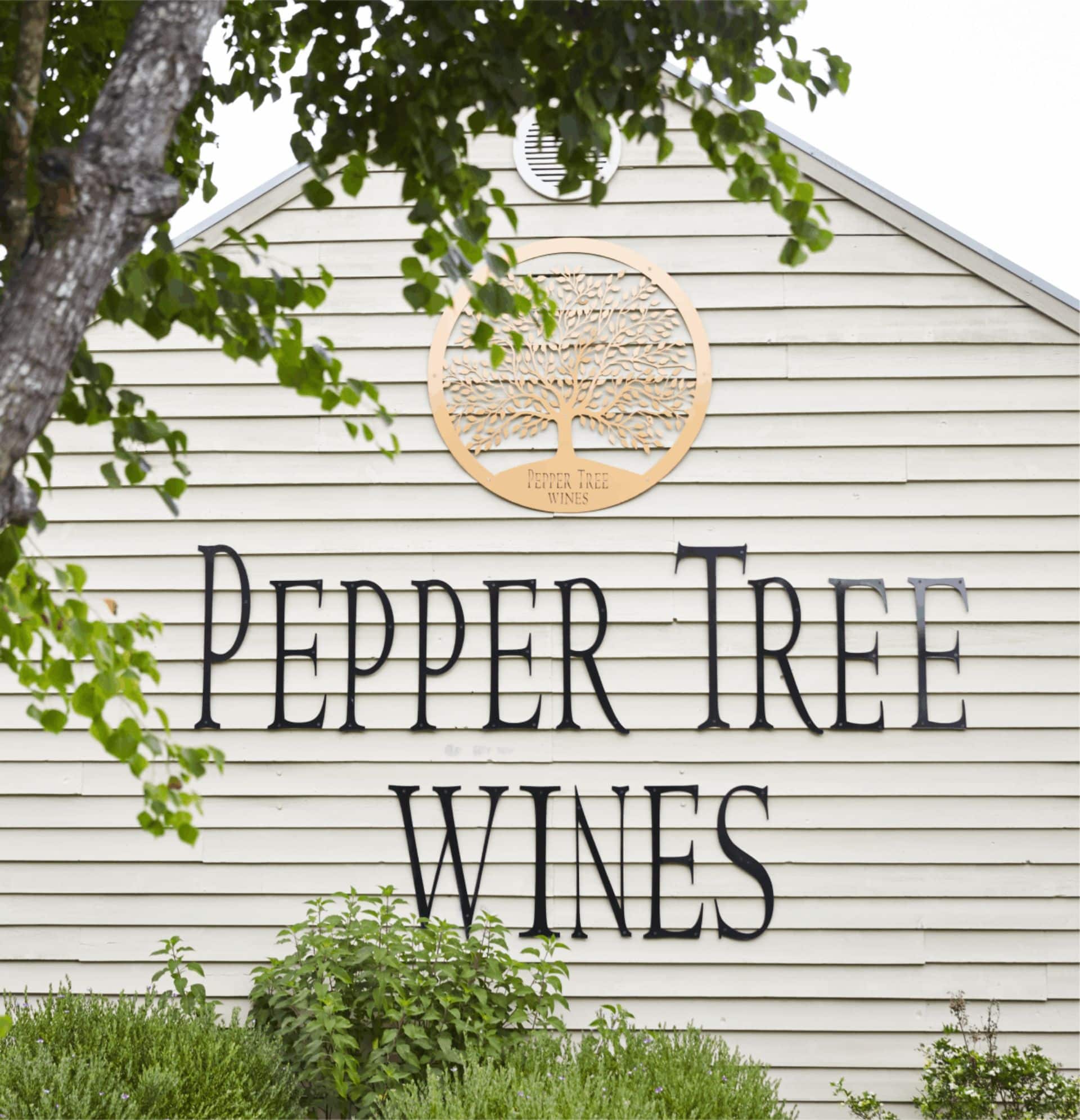 Dog Friendly Wineries Hunter Valley | Wine Regions Australia