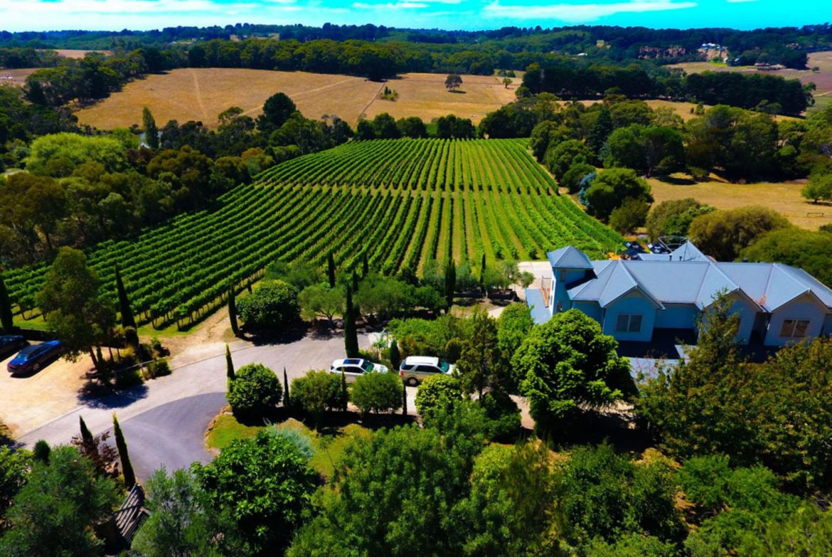 Our Pick Of Winery Tours On The Mornington Peninsula | Wine Regions ...