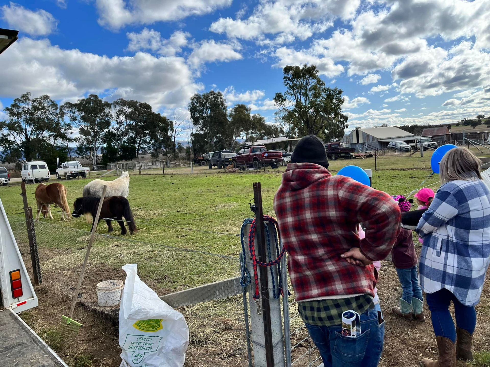 Things To Do In Mudgee