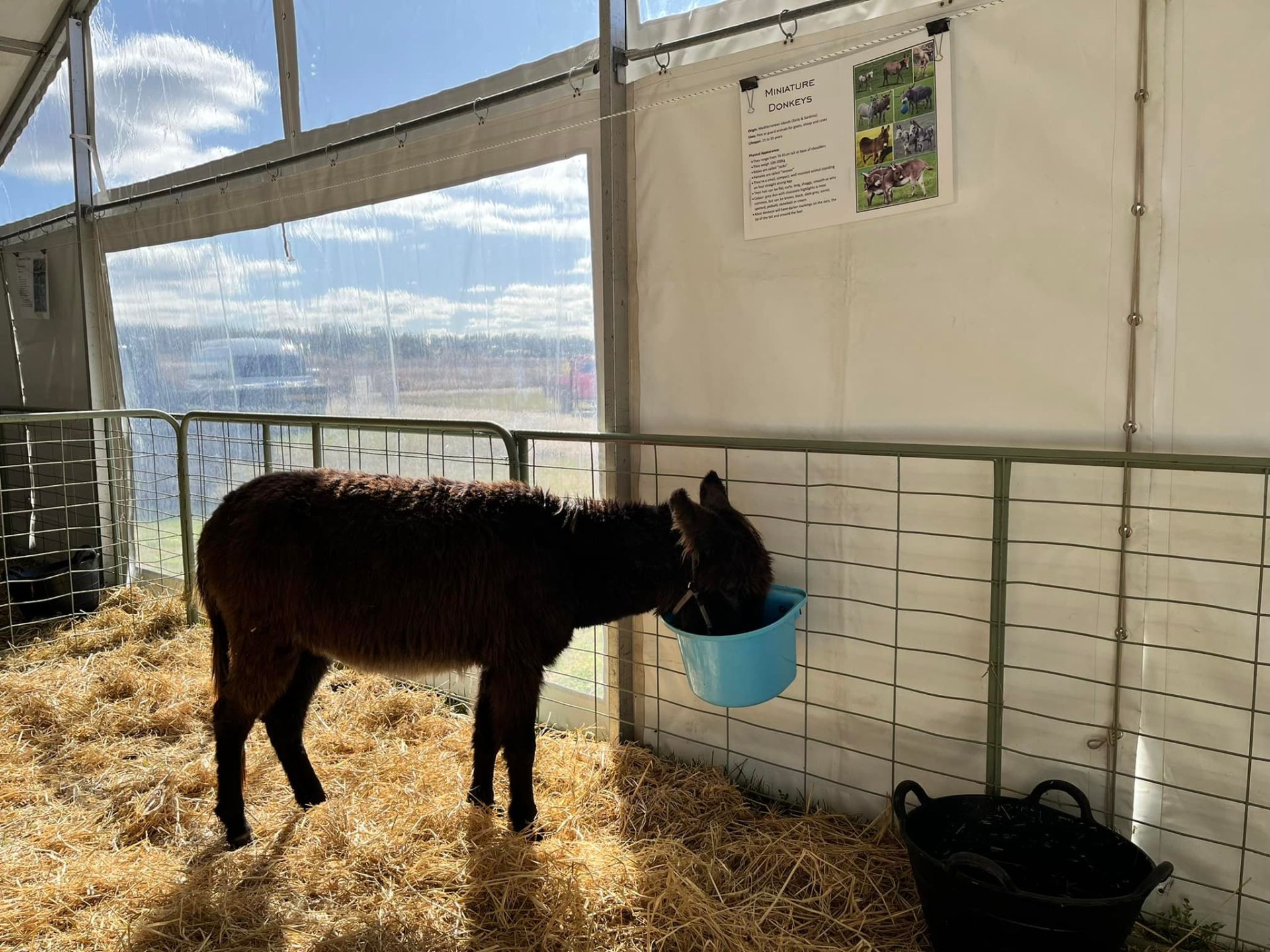 Things To Do In Mudgee