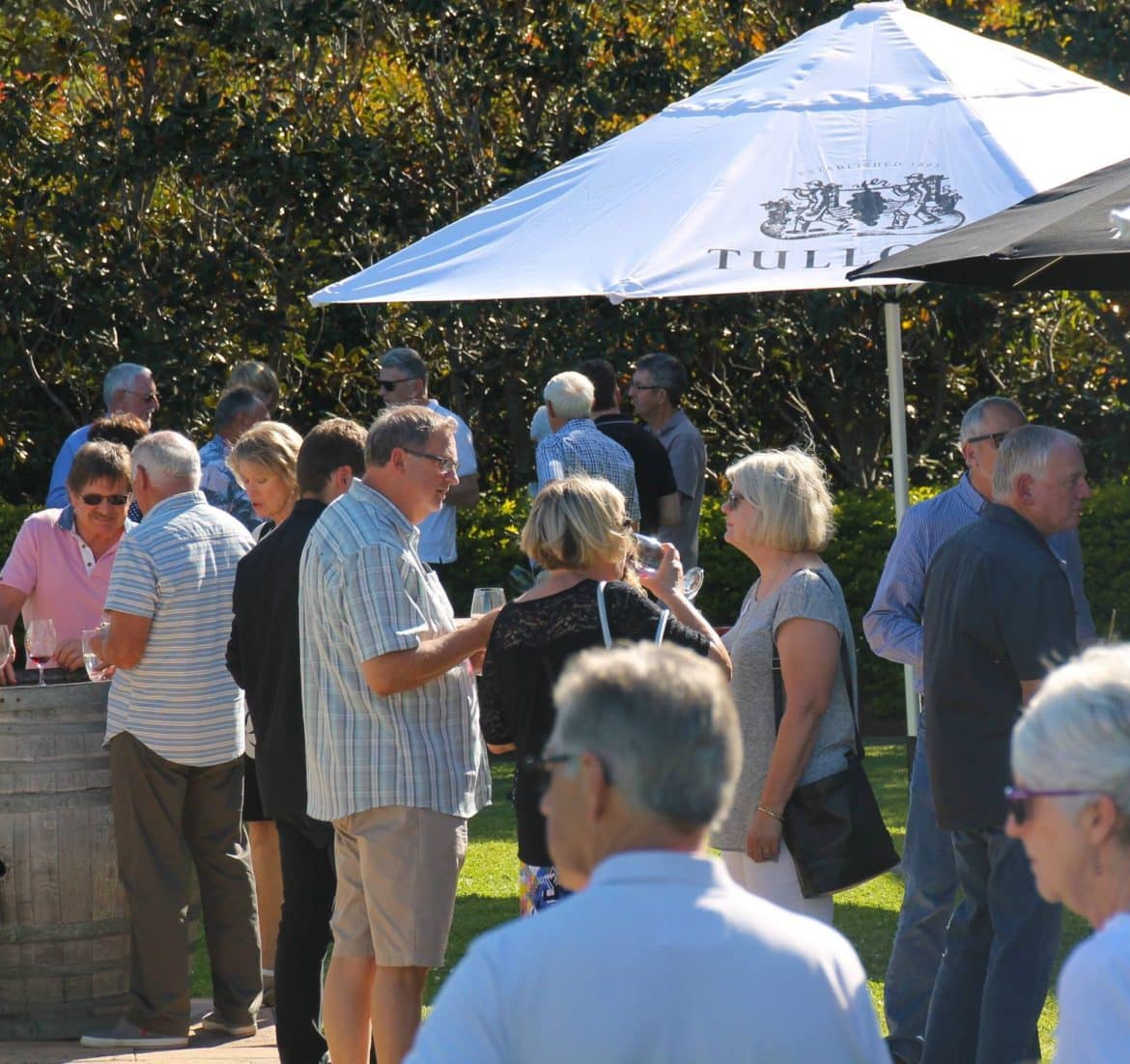 Kid Friendly Wineries Hunter Valley: Cage-free